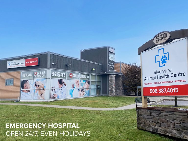 Riverview Animal Health Centre | Vet Near Me CA